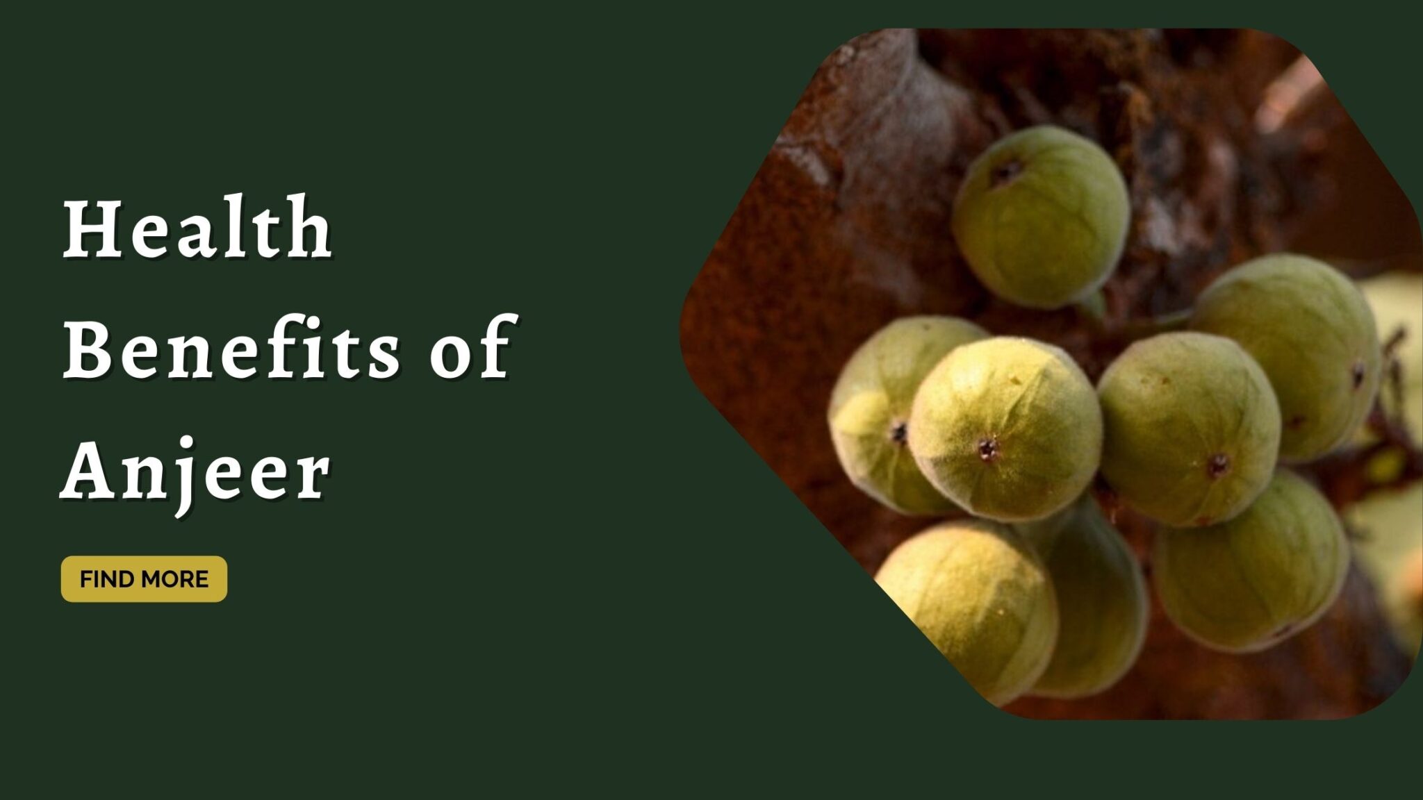 Health Benefits of Anjeer: Exploring the Numerous Benefits ...