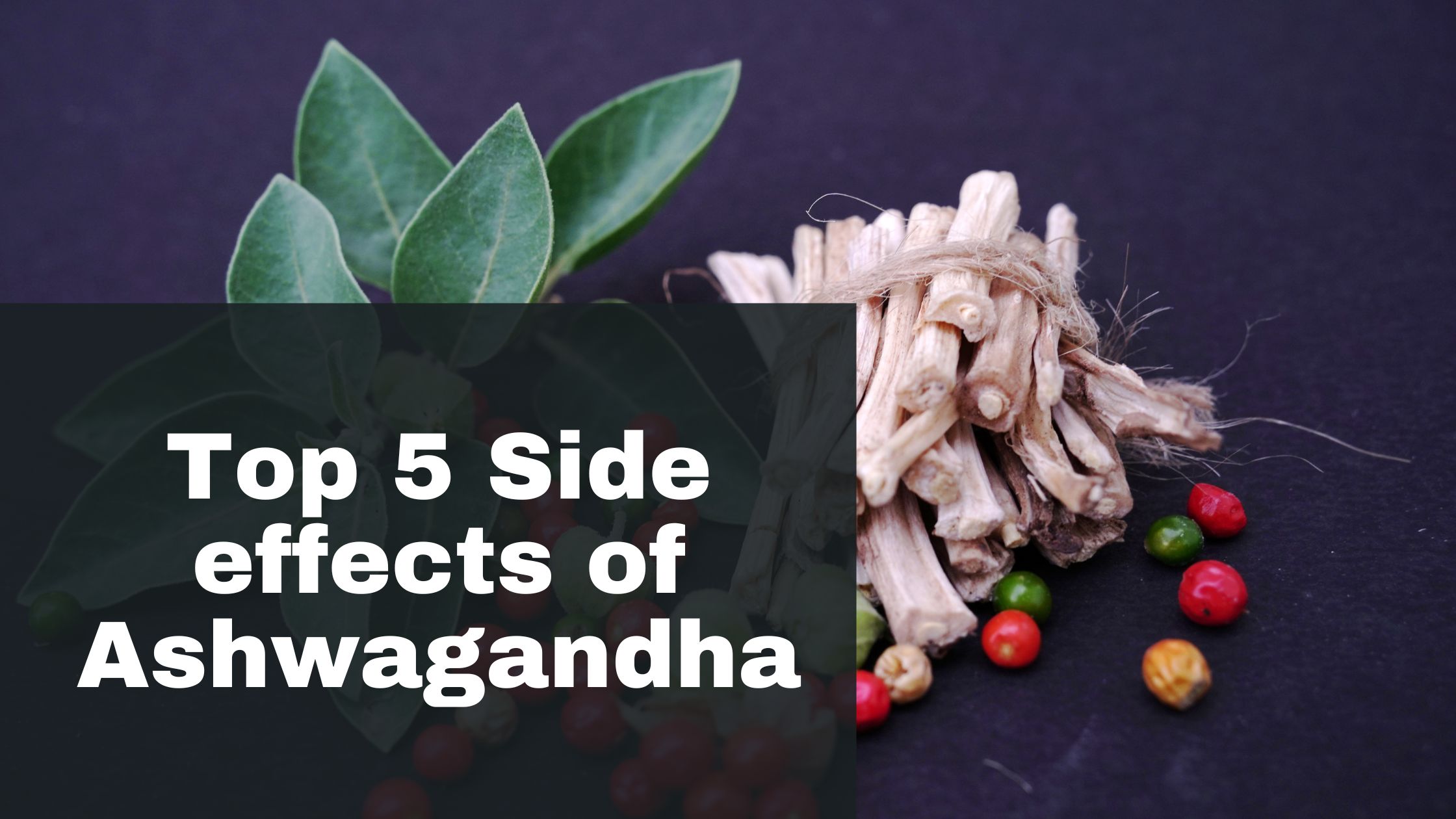 Does ashwagandha have any negative side effects? Let's Find out!